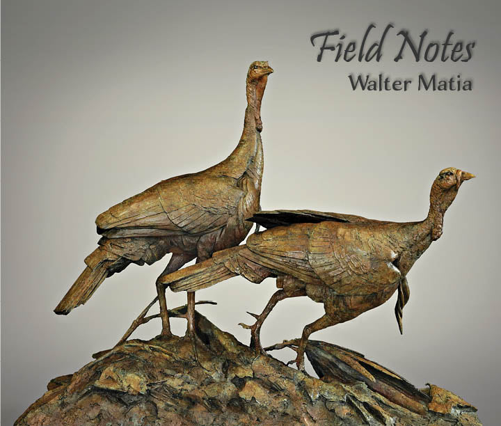 Field Notes | Walter Matia – National Sporting Library & Museum
